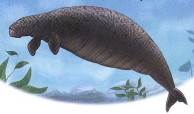 Jornal dos Bichos - Animal em Fatos, vídeos e fotos: 10 fantásticos ...