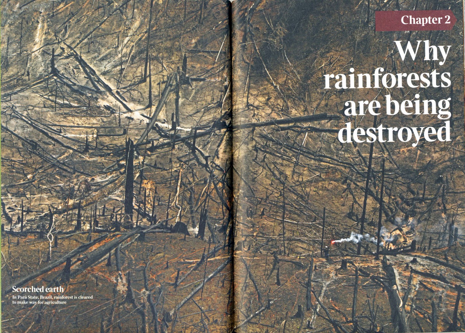 Design Context: Inspirational Ideas of Layout and Format for my Design ...