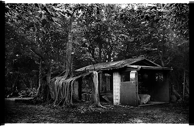 Junk From the Trunk of My Car: Cauley Square Historic Village