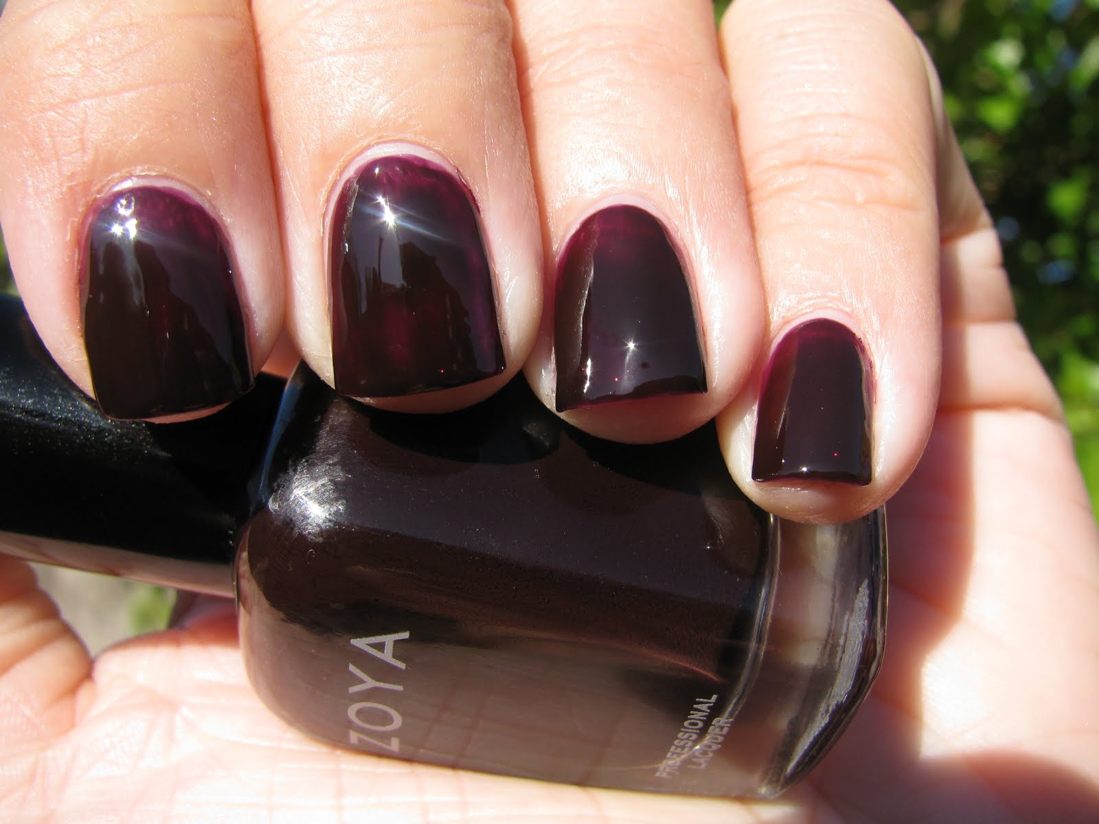 Nail'd & Polish'd: Zoya-Free Shipping Today