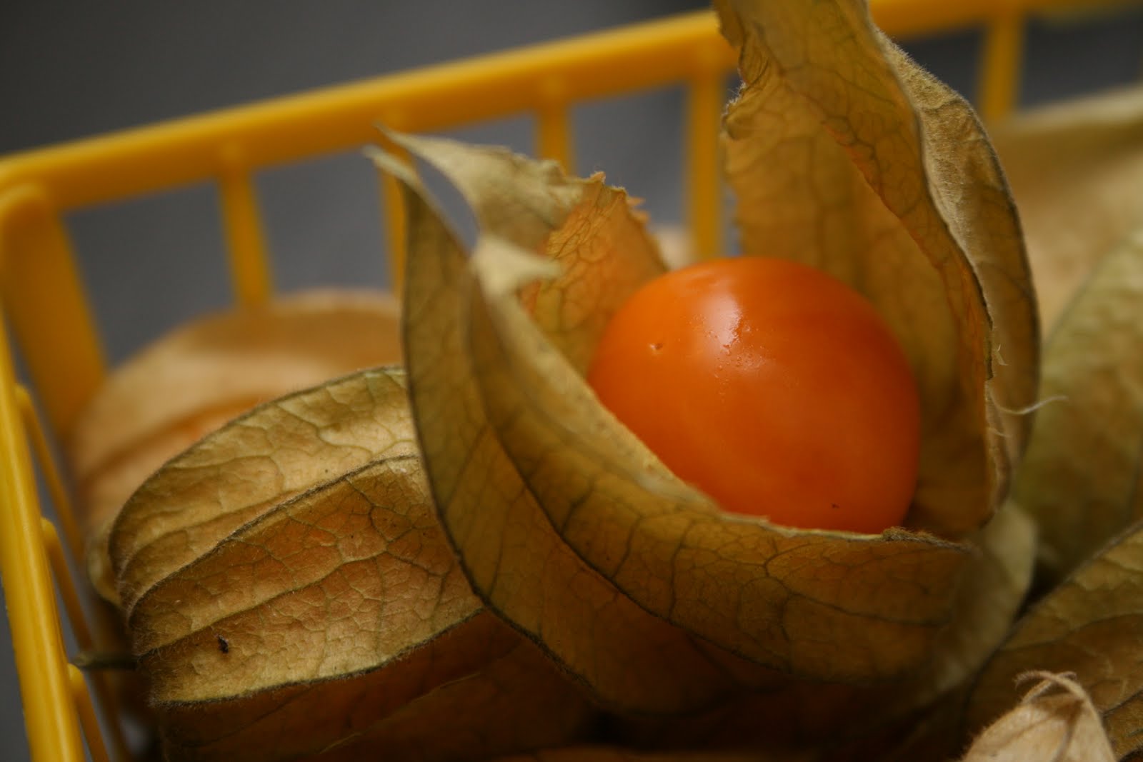 Goldenberries or Andes Fruit
