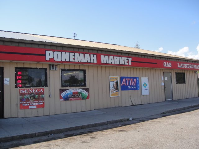 Curious Cat: Ponemah, MN