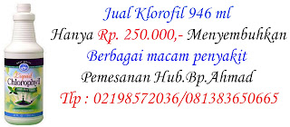 JUAL KLOROFIL | LIQUID CHLOROPHYLL: Manfaat klorofil