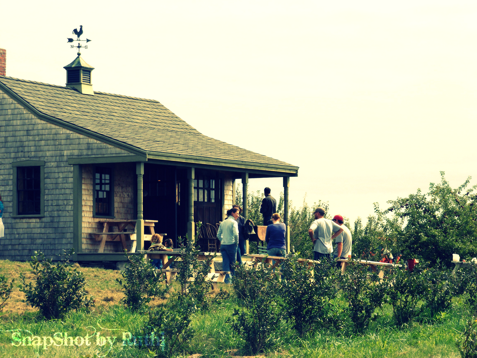 RuthinianGregoire: PYO Apple