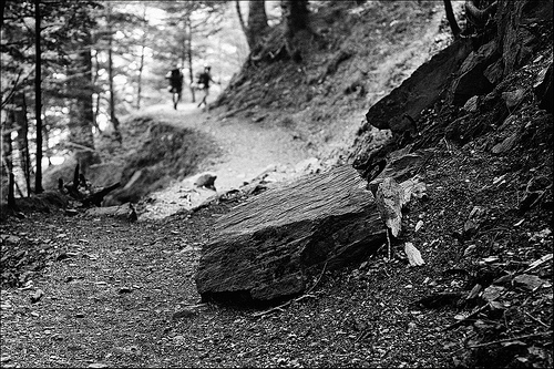 Nikon 50 mm f 1.4 G sample photo 6 | Nikon 50 mm lens