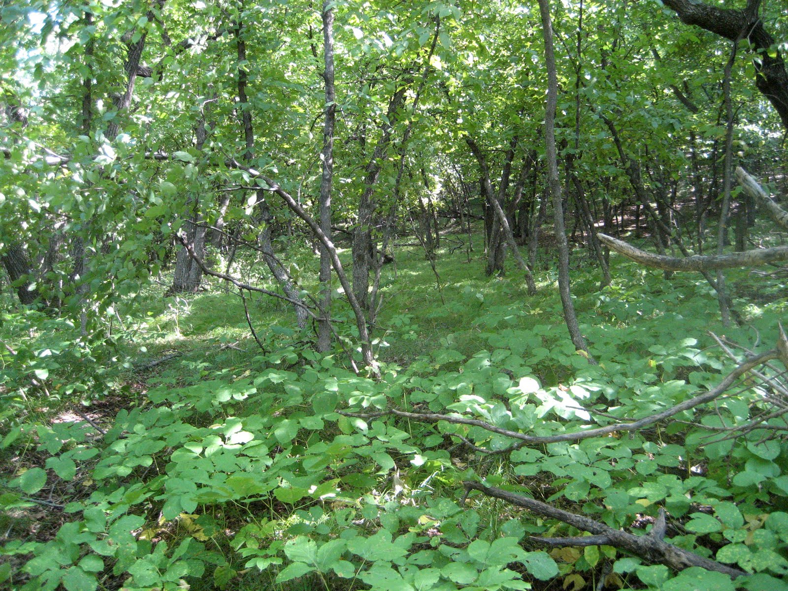 Never a Wrong Turn (Ever): North Dakota