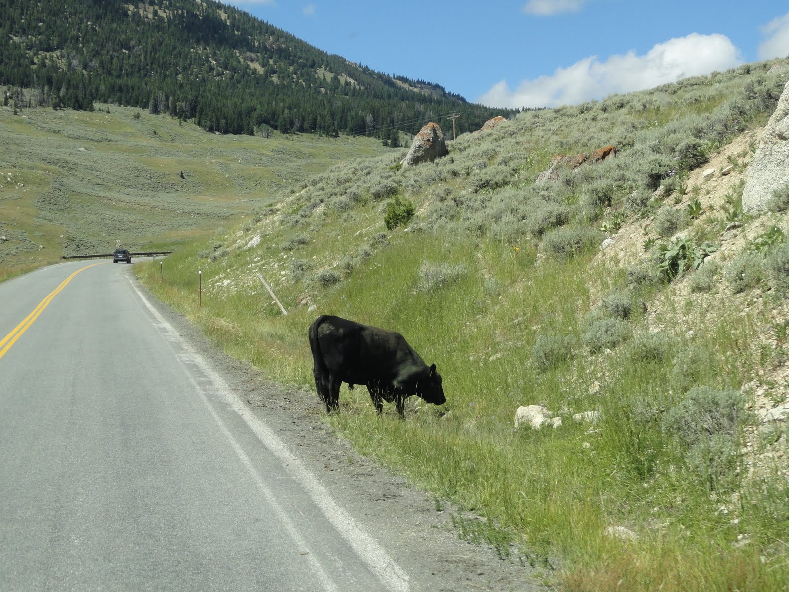 BlessOurVoyage - Tales of the McMillans' Travels: Cody, Granite Pass ...