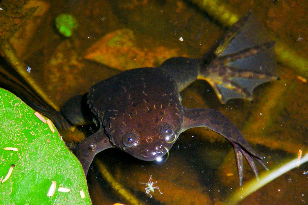 Hola a todos todas: 2010