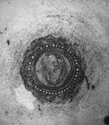 the S and N Press: Delta 32