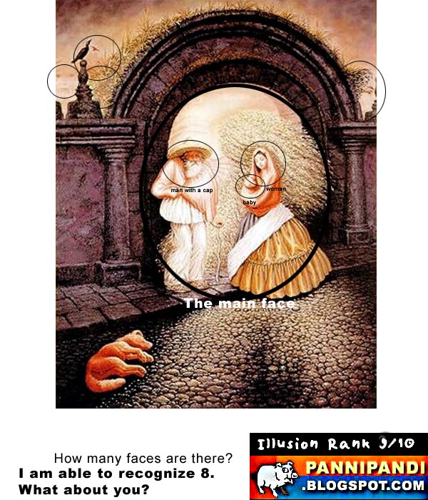 panni pandi: Top 10 Illusions Answer for Item no. 9