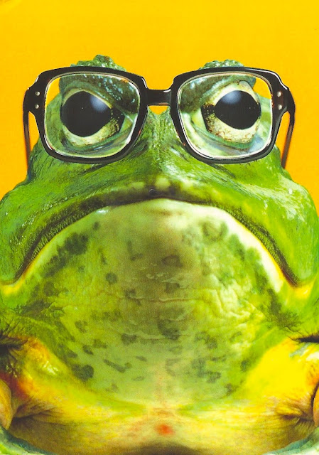 My Favorite Postcards Frog Wearing Glasses