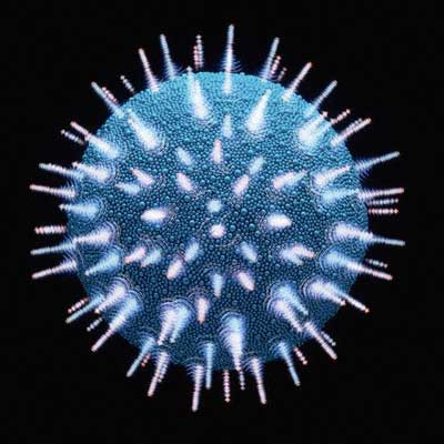 +Saúde: SIDA - o que é?