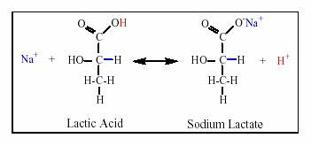 Renan Finkler Personal Trainer: LACTATO OU ÁCIDO LÁTICO?