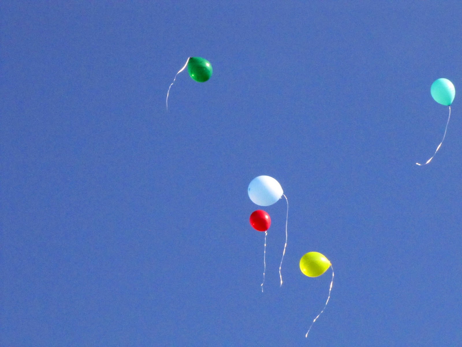 Curls O Fred Balloon Release Curls O Fred Balloon Release