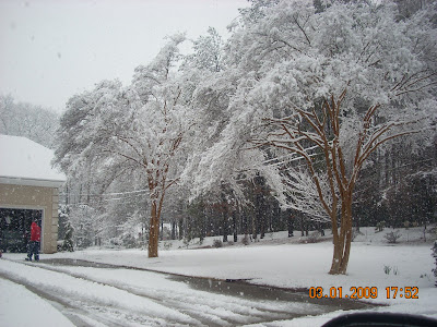 docs locs: Sisterlocks Snow Day Photos in Atlanta, Georgia