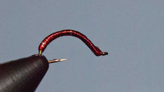 Fly and Fin: Wire Blood Worm