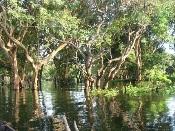 Travel with me, Hillary!