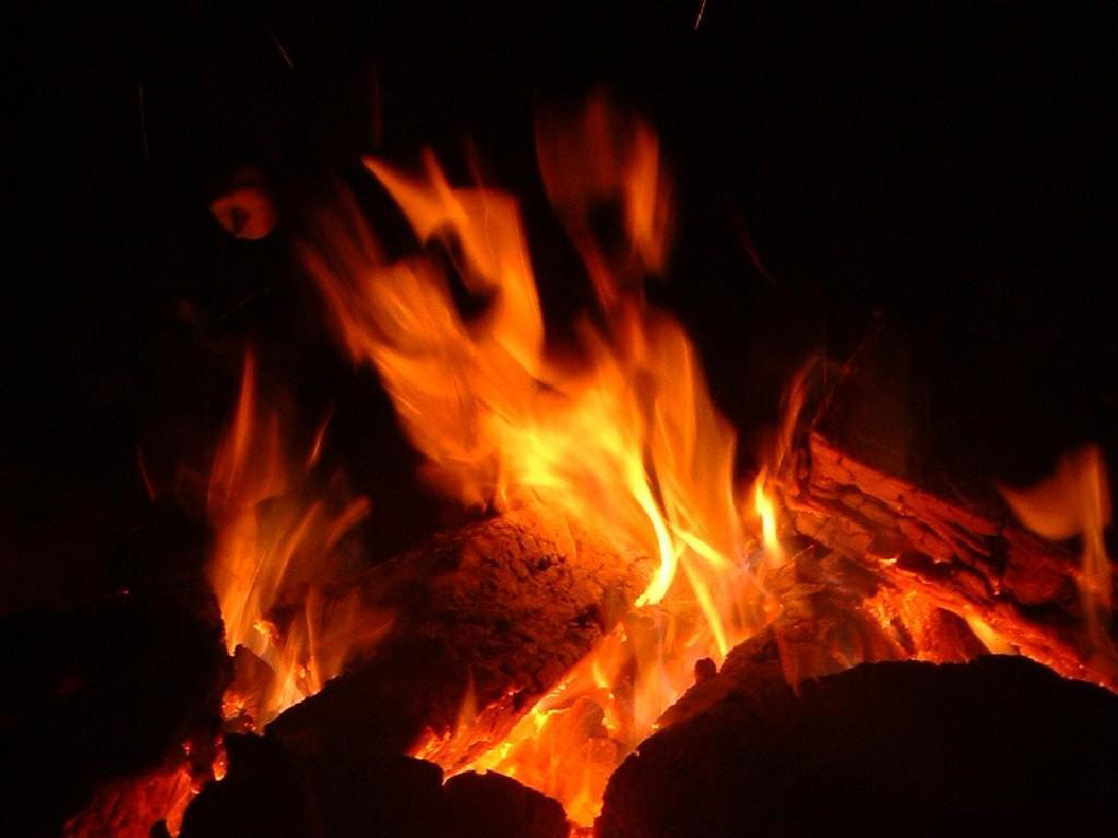 P H I L A E: Junho 2010