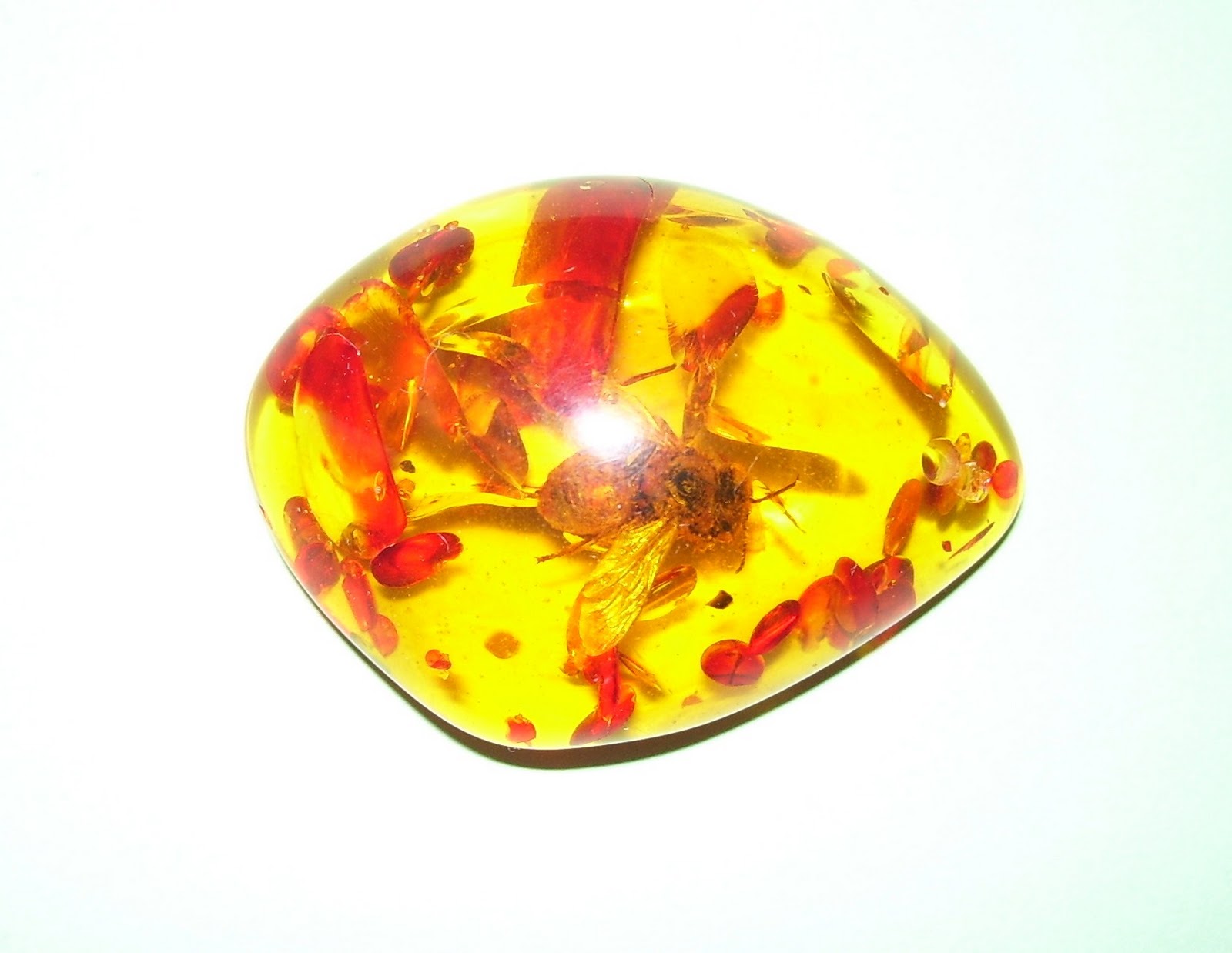 My World Rocks!: Amber: God's Snapshot of the Past