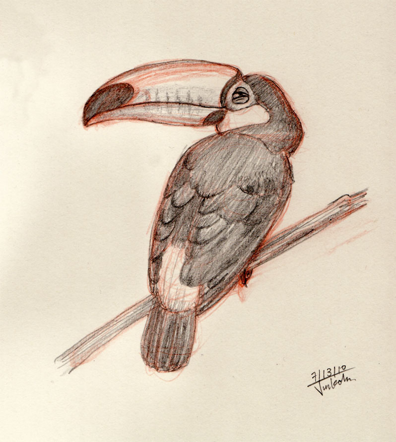 Artwork by Junko Miyakoshi: Evil Toucan