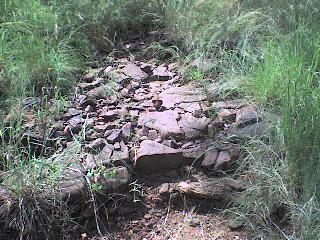 Srisailam photos: Photos of Kadali Vanam