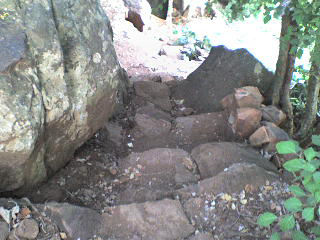 Srisailam photos: Photos of Kadali Vanam