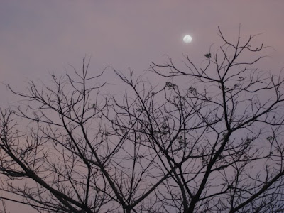 Huastecas Paraisos de Mexico: Tamazunchale