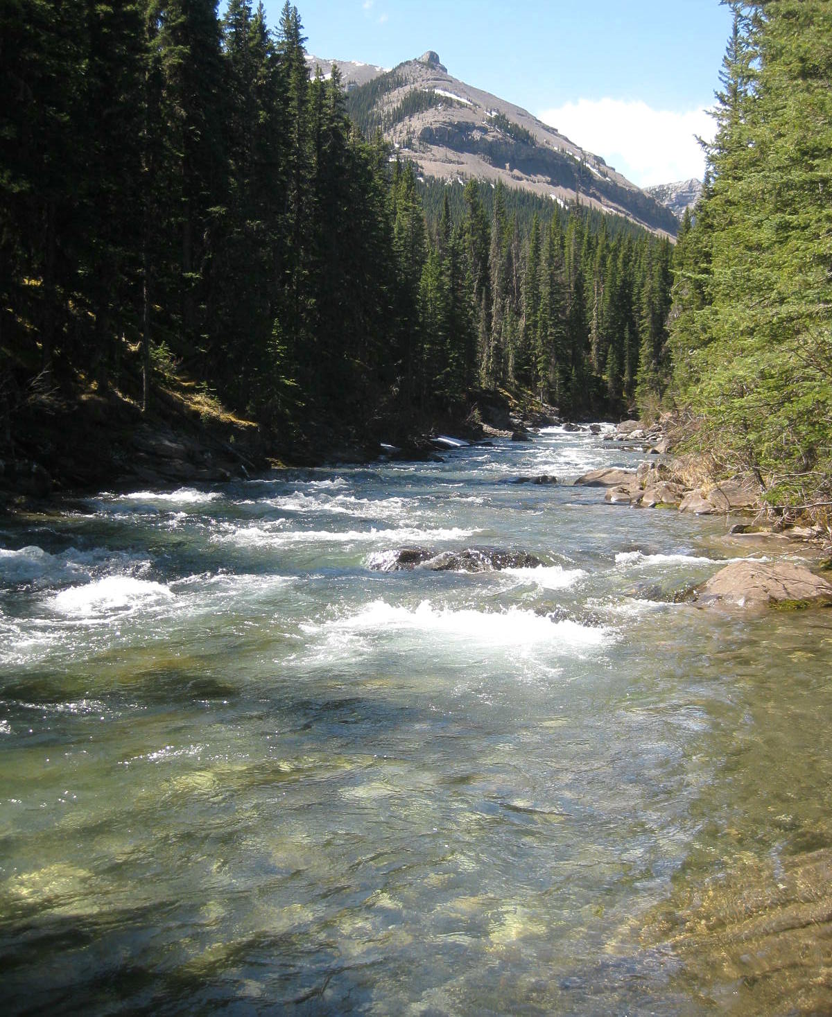 The Passionate Hiker: Junction Creek - across the Sheep River