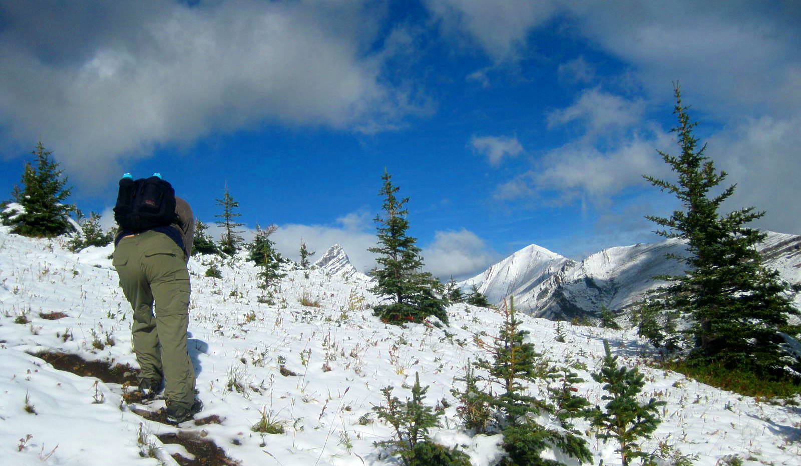The Passionate Hiker: Mt. Kidd Lookout