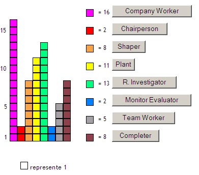 Blog: Belbin Test results