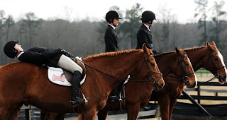 David Manning Photoblog: f/8 and be there: Equestrian Fun....