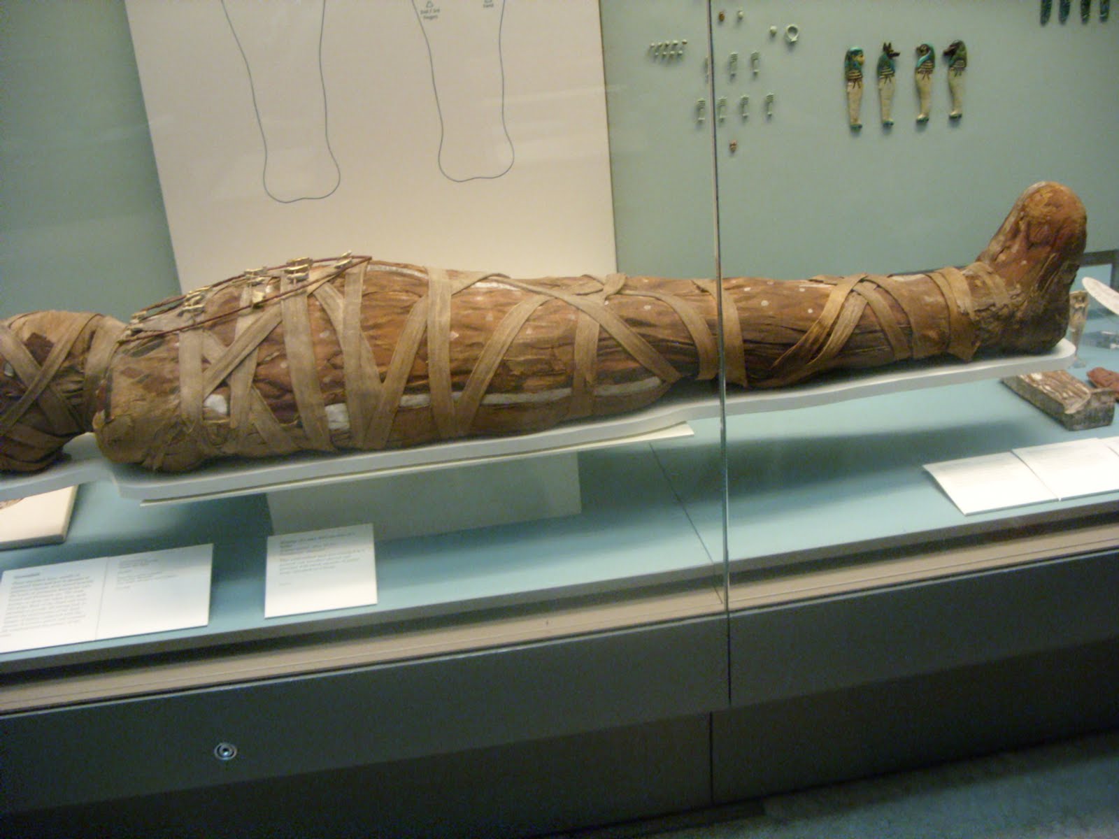 NEPHTHYS: Mumii