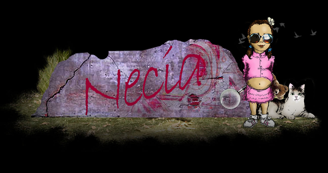 Bajo tu mirada: La irreverencia irrumpe: La blogósfera parió a una Necia