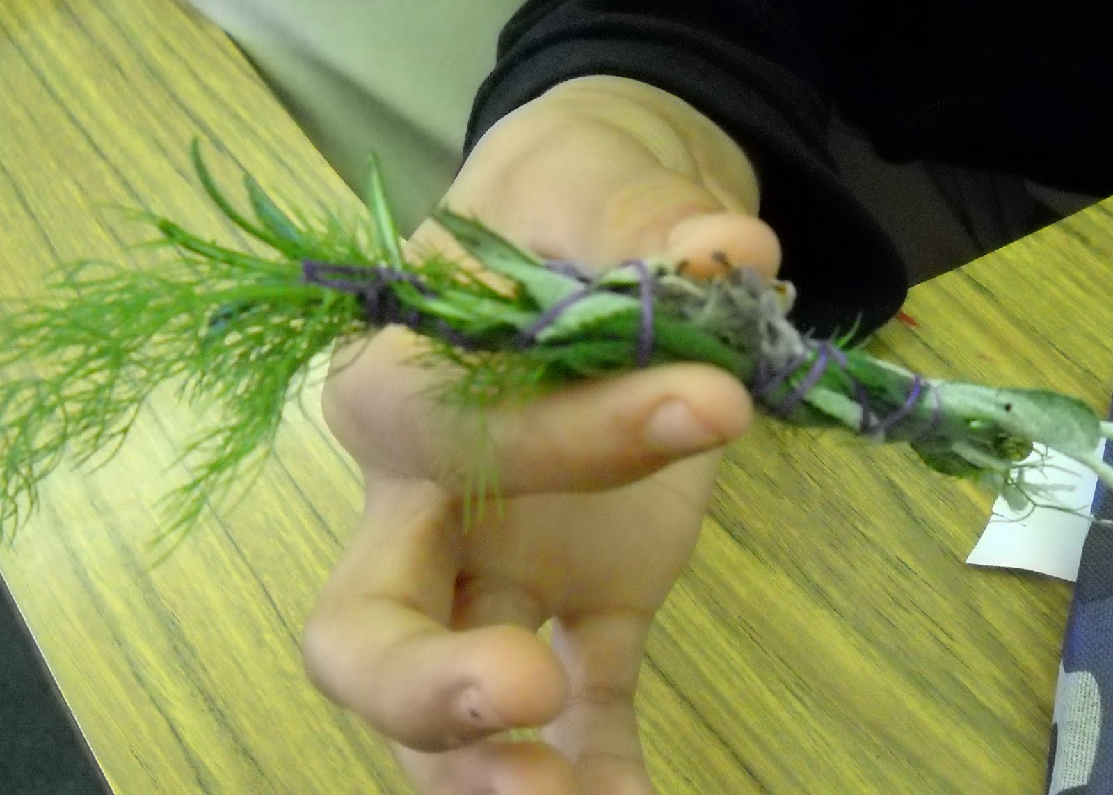 Sagehealer - Sagehealercreations Blog: Smudging Classes Bring Healing ...