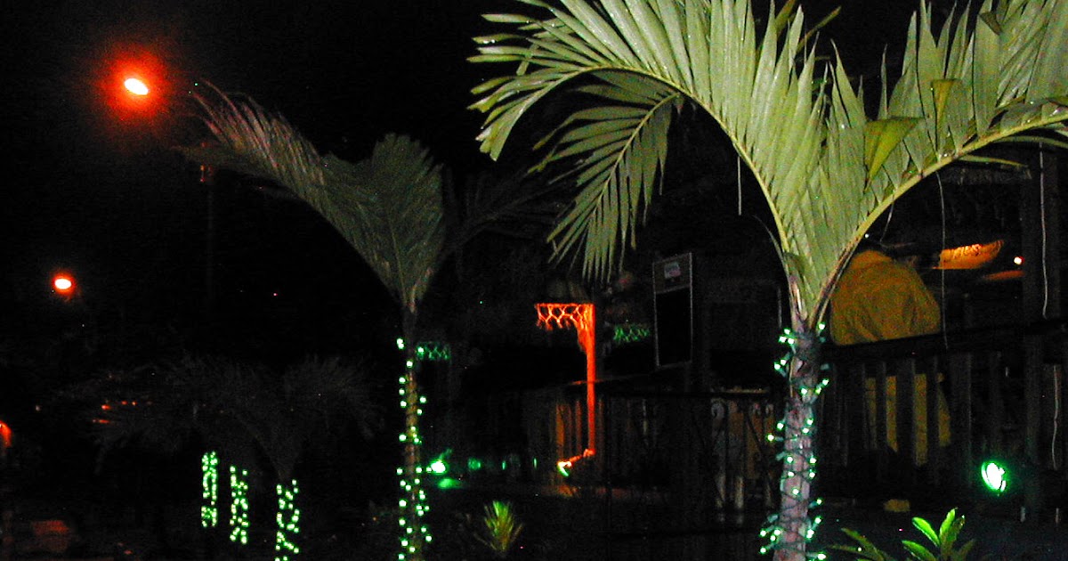 Honduran Christmas traditions | La Gringa's Blogicito