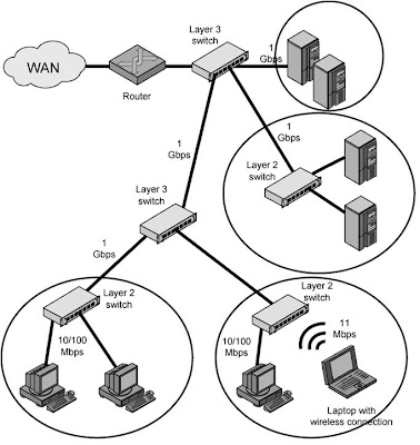 Typical Large LAN Organization | THIS NOTES ABOUT IT (INFORMATION AND ...