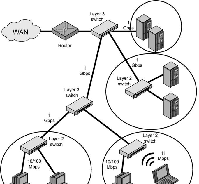 Typical Large LAN Organization | THIS NOTES ABOUT IT (INFORMATION AND ...