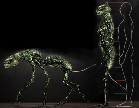 Duncan's Guide to Life, The Universe and Movies: 'V' - The New Series ...