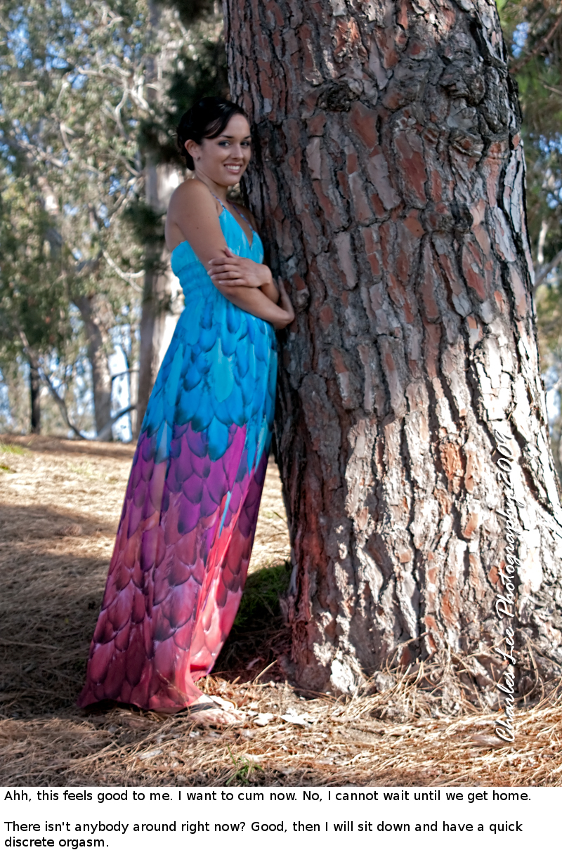 Chastity Fantasies of an Obsessive Copier: Sexual technology