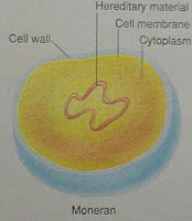 Bio Podium: Reproduction - Part 1