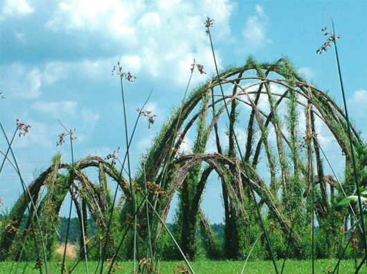 Survival Kit : White 3 2010: Auerworld Palace