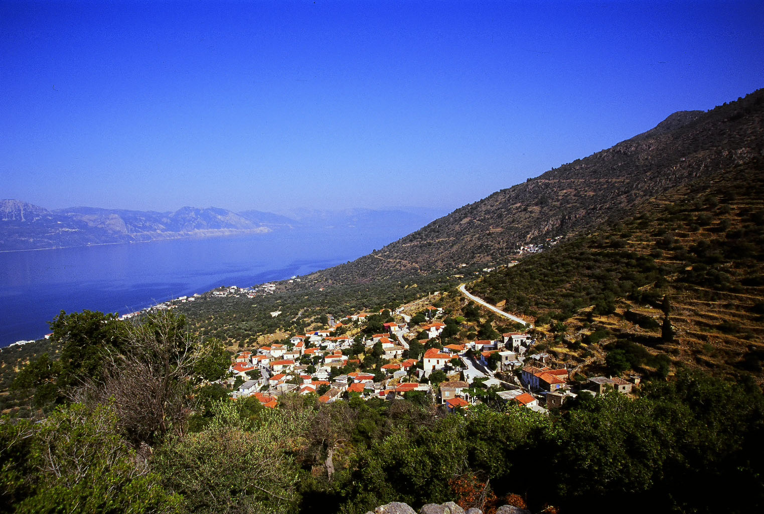 actimon: ΤΑ ΜΕΘΑΝΑ ΕΙΝΑΙ ΔΙΠΛΑ ΜΑΣ