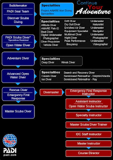 Padi exam cheat sheet - naapon