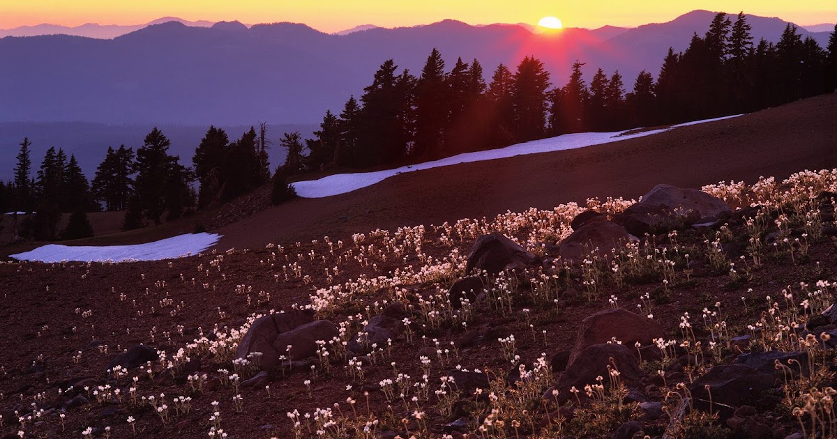 Beautiful Sun Set or Sun Rise-02 Wallpapers || Desktop Background ...