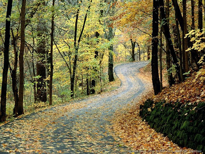 Beautiful Roadways - Where it Leads?