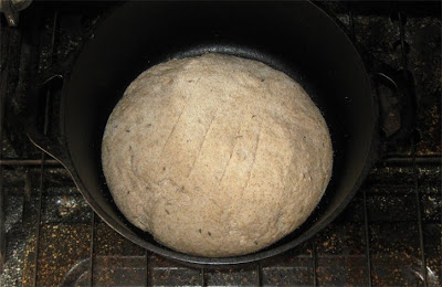 Easy No Knead Sourdough Rye Bread | The Mad Fermentationist ...