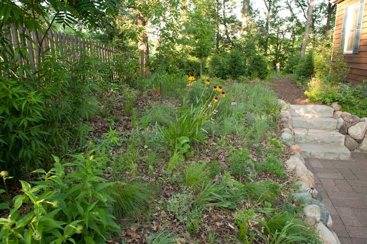 Restoring The Landscape With Native Plants: Prairie to Woodland ...