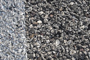 Restoring The Landscape With Native Plants: Porous, Pervious or ...