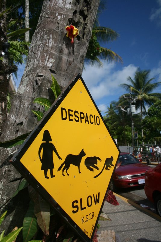 "Despacio" Sign, Manuel Antonio, Costa Rica - victoria's photo diary