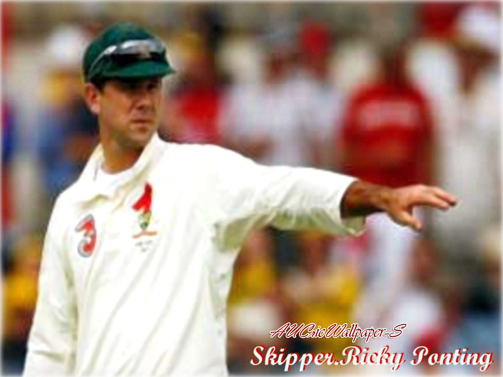 Australian Cricket Team Wallpaper: Ricky Ponting Wallpapers 1